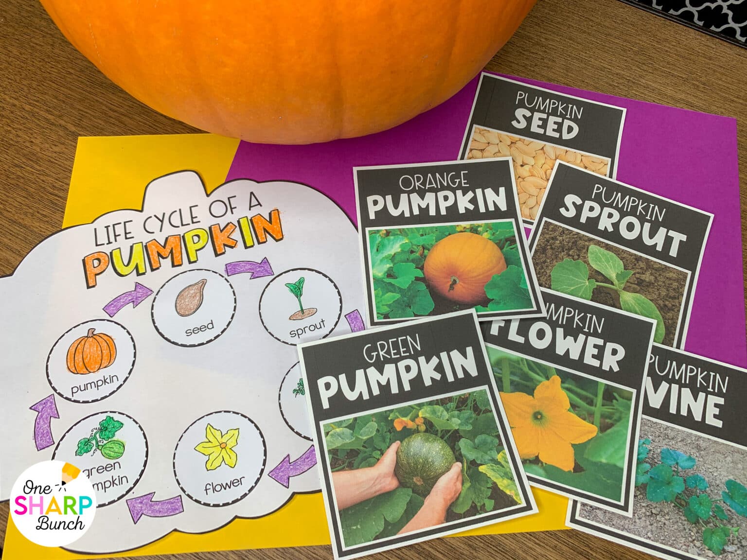 The Ultimate List of 20+ Pumpkin Activities for Kids - One Sharp Bunch