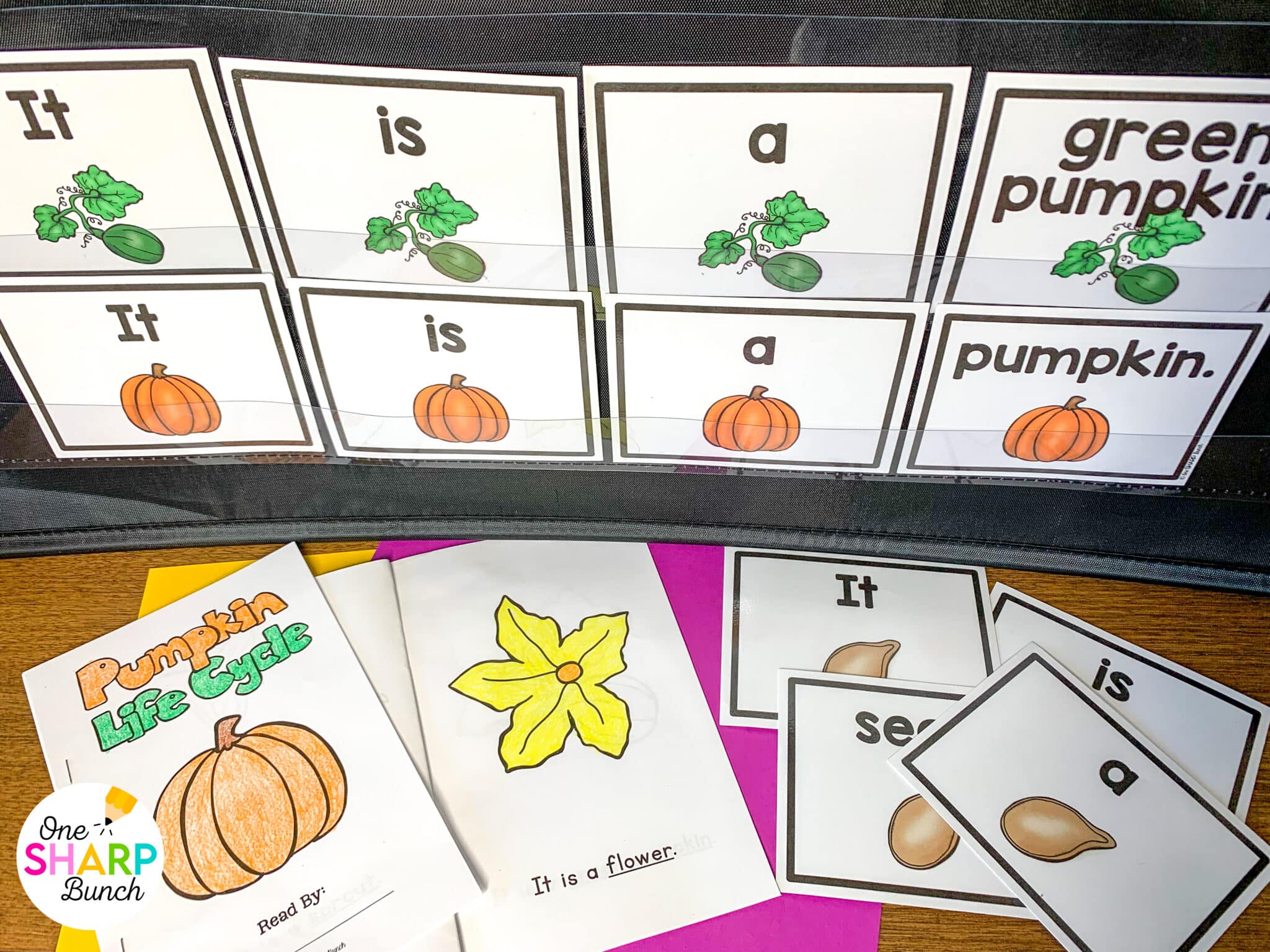 The Ultimate List of 20+ Pumpkin Activities for Kids - One Sharp Bunch