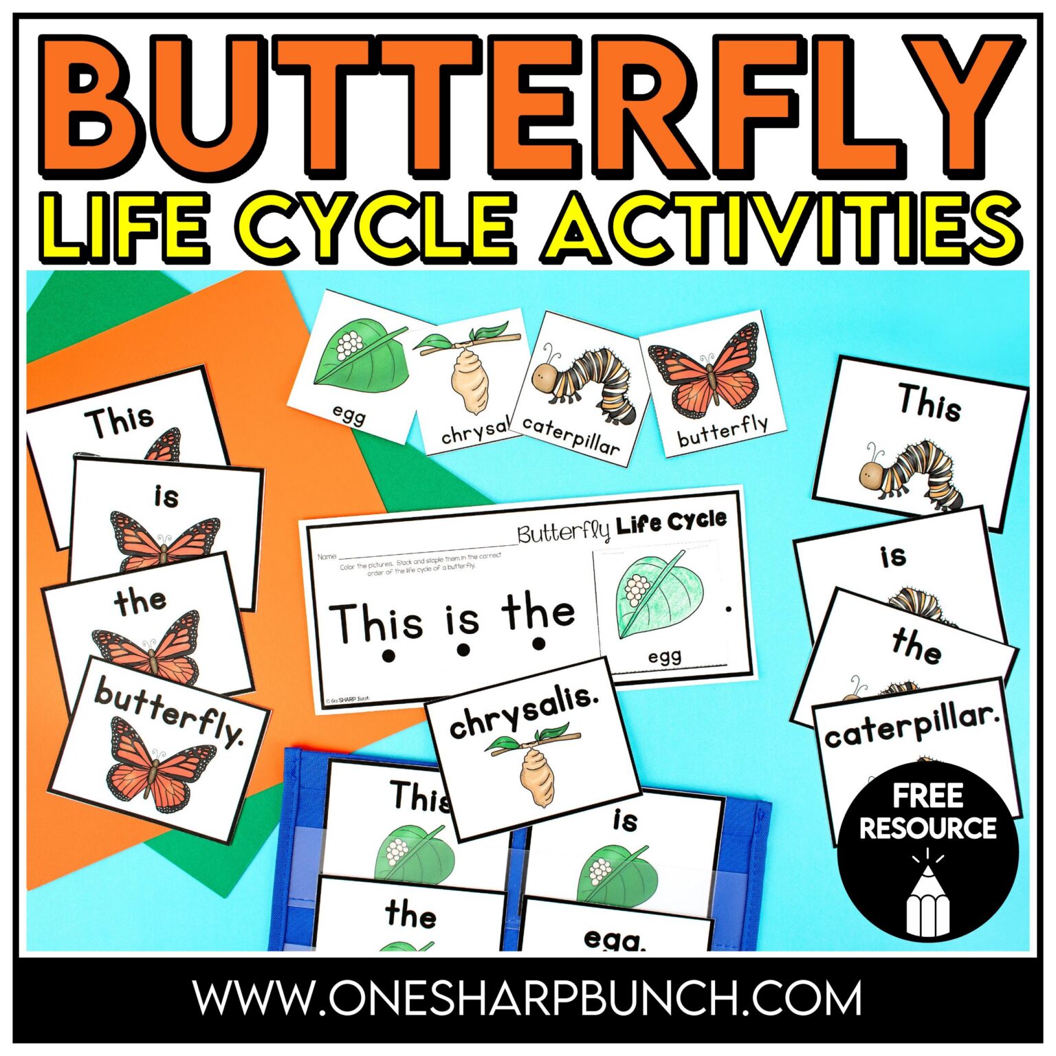Butterfly Life Cycle Craft and Activity Using Pasta - One Sharp Bunch