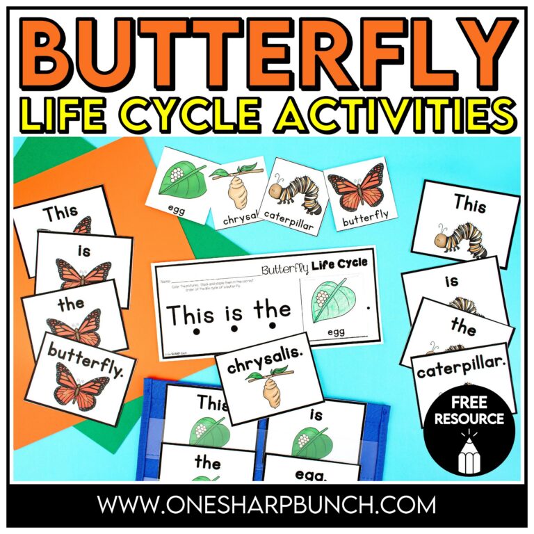 Butterfly Life Cycle Craft and Activity Using Pasta - One Sharp Bunch