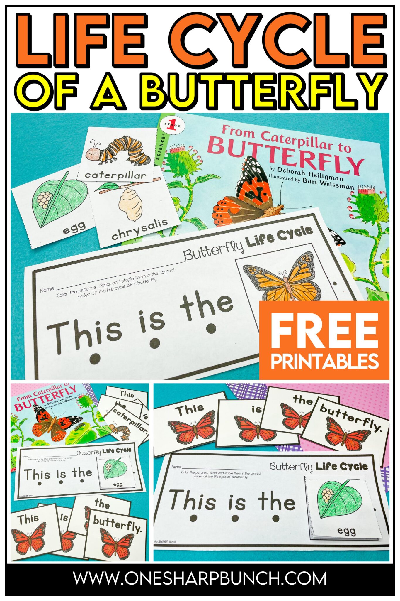 Butterfly Life Cycle Freebie - One Sharp Bunch