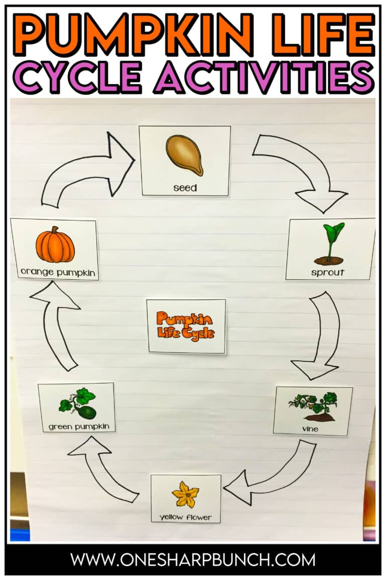 Top 10 Pumpkin Life Cycle Activities - One Sharp Bunch