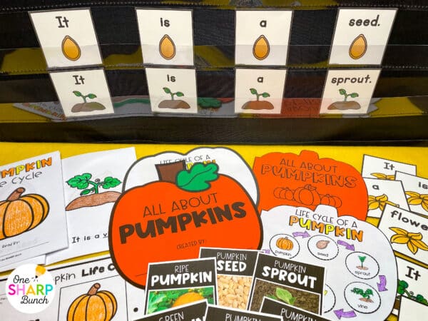 The Best 20 Pumpkin Investigation Activities for Little Learners - One ...
