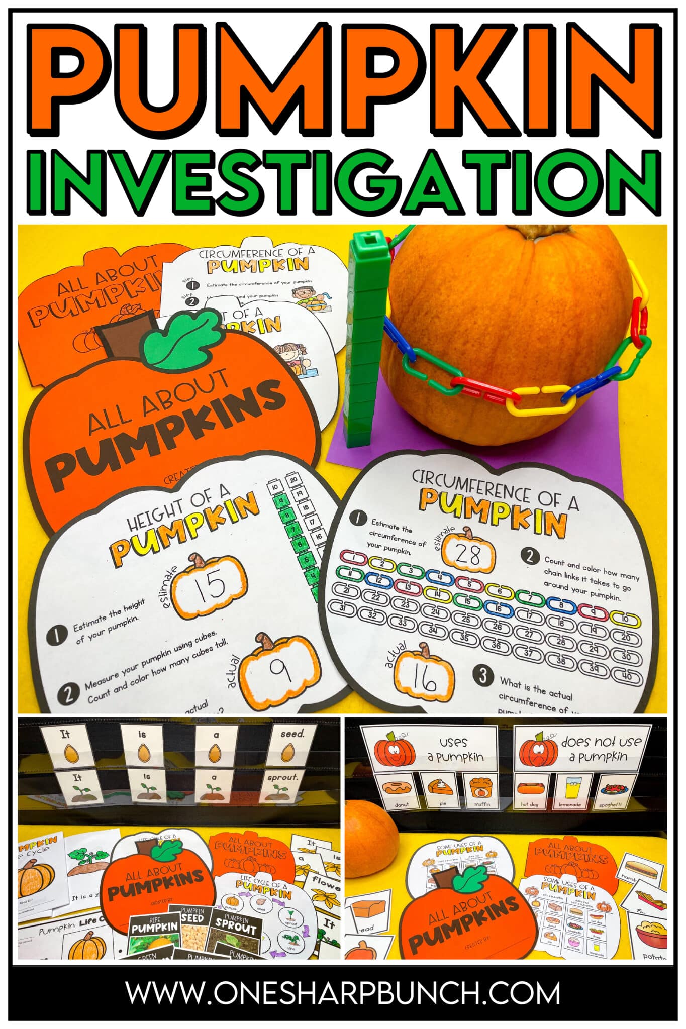 The Best 20 Pumpkin Investigation Activities for Little Learners - The ...