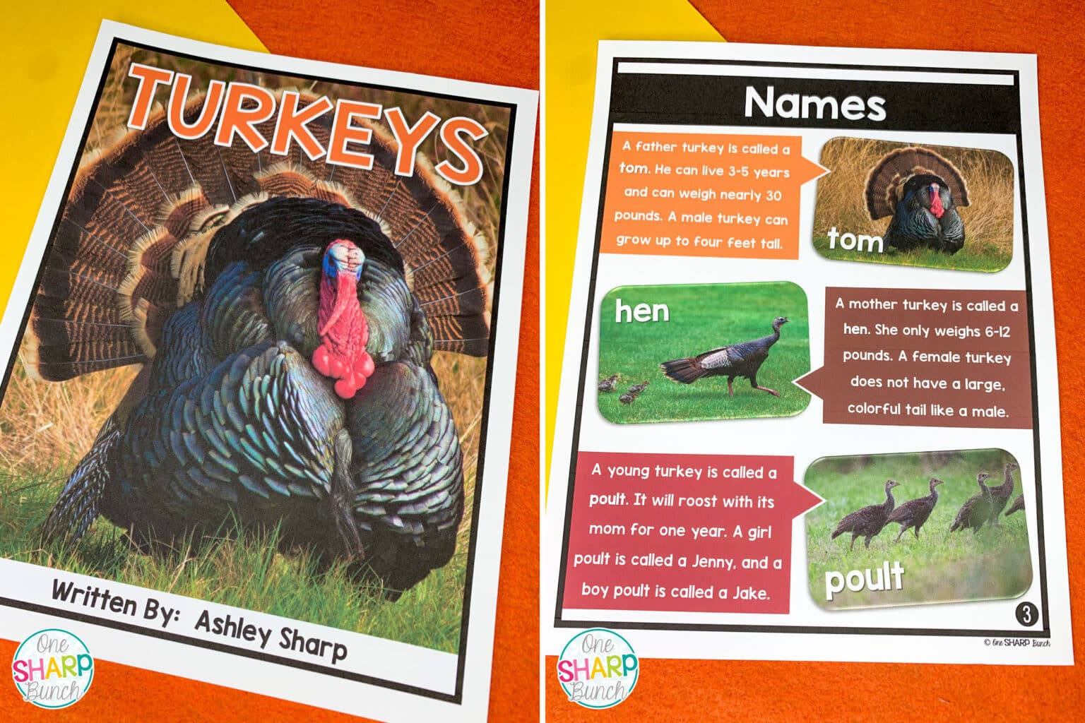 35 Thematic Turkey Activities for All Subjects - One Sharp Bunch