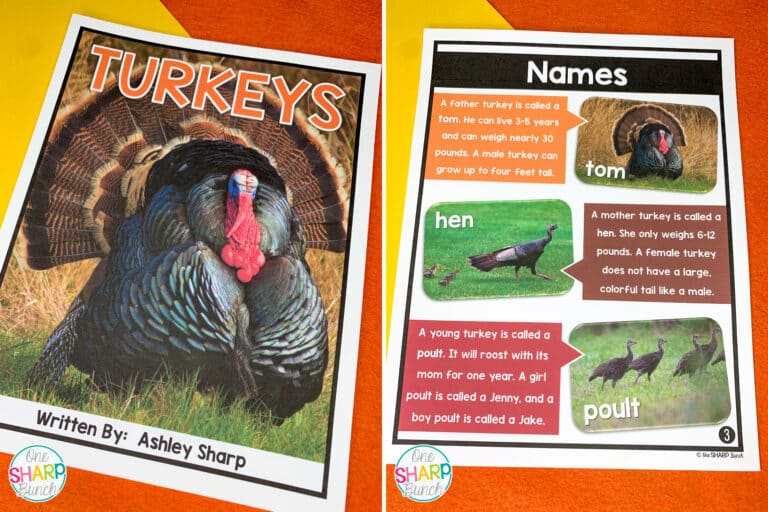 35 Thematic Turkey Activities for All Subjects - One Sharp Bunch