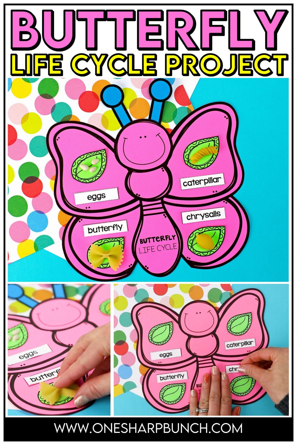 Butterfly Life Cycle Craft and Activity Using Pasta - One Sharp Bunch