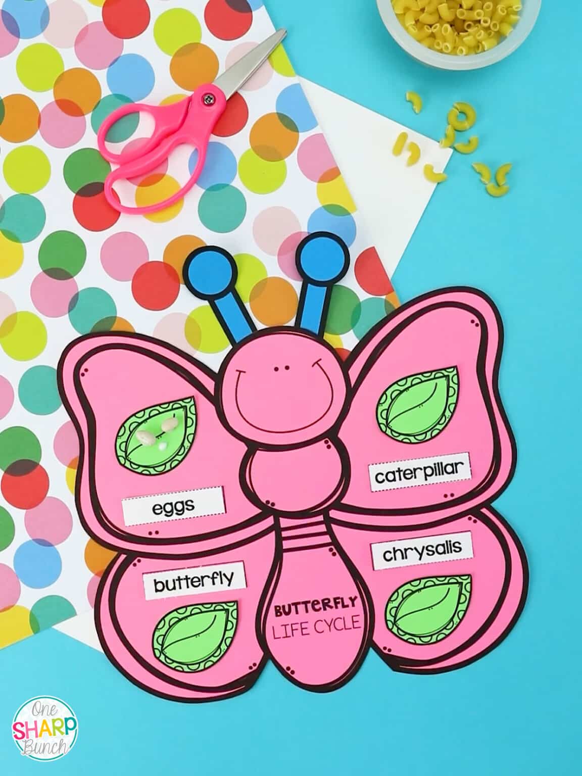 Butterfly Life Cycle Craft and Activity Using Pasta - One Sharp Bunch