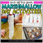 Bubble Day Activities for the End of the Year - One Sharp Bunch