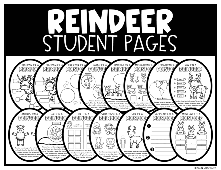 All About Reindeer Activities & Reindeer Craft - One Sharp Bunch