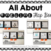 Penguin Craft - Penguins Flap Book - Penguin Graphic Organizers ...