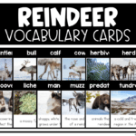 All About Reindeer Activities & Reindeer Craft - The Sharp Kinder Club