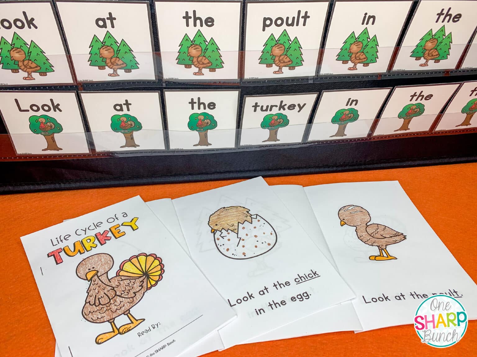 All About Turkeys: Turkey Craft, Turkey Nonfiction Unit & Turkey Life ...