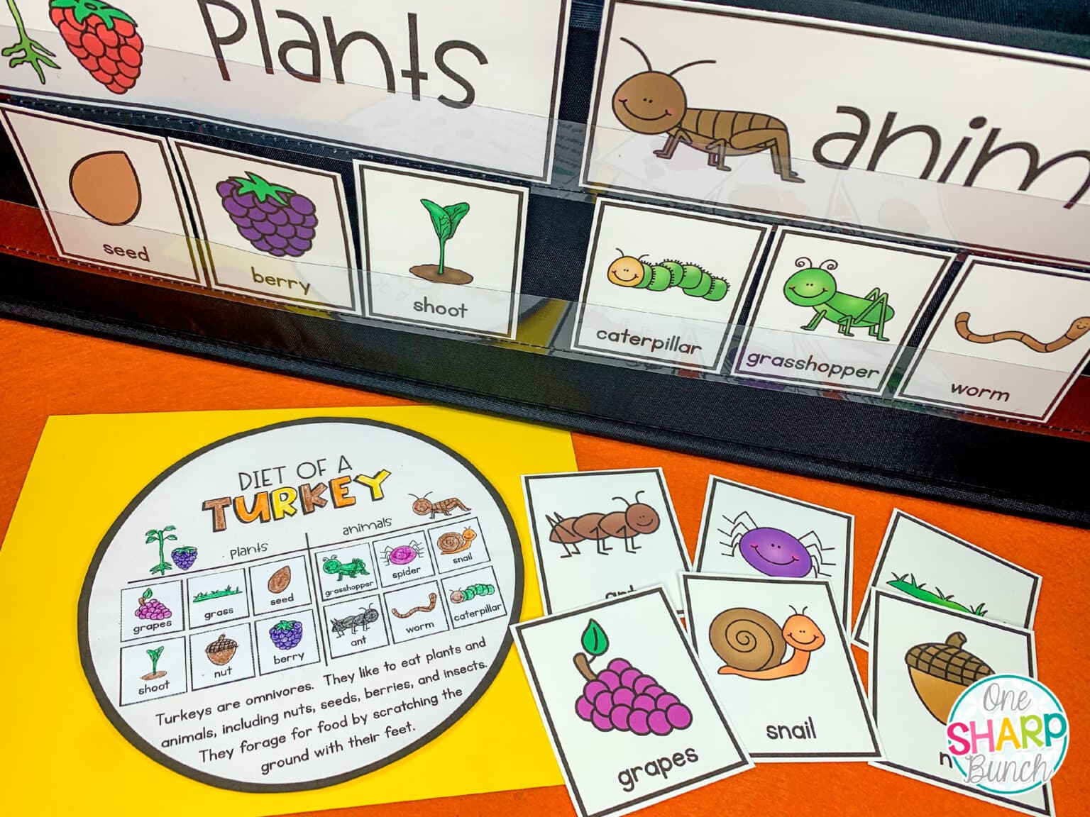 All About Turkeys: Turkey Craft, Turkey Nonfiction Unit & Turkey Life ...