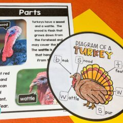 All About Turkeys: Turkey Craft, Turkey Nonfiction Unit & Turkey Life ...