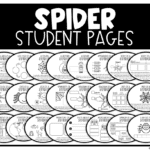 Interactive Spider Craft and Spider Activities for Halloween - One ...