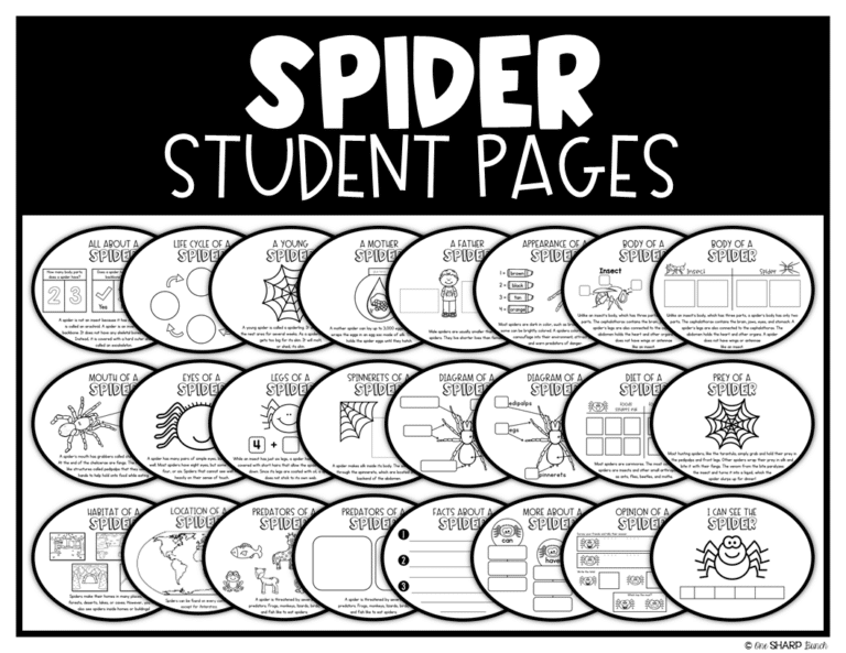 Interactive Spider Craft and Spider Activities for Halloween - One ...