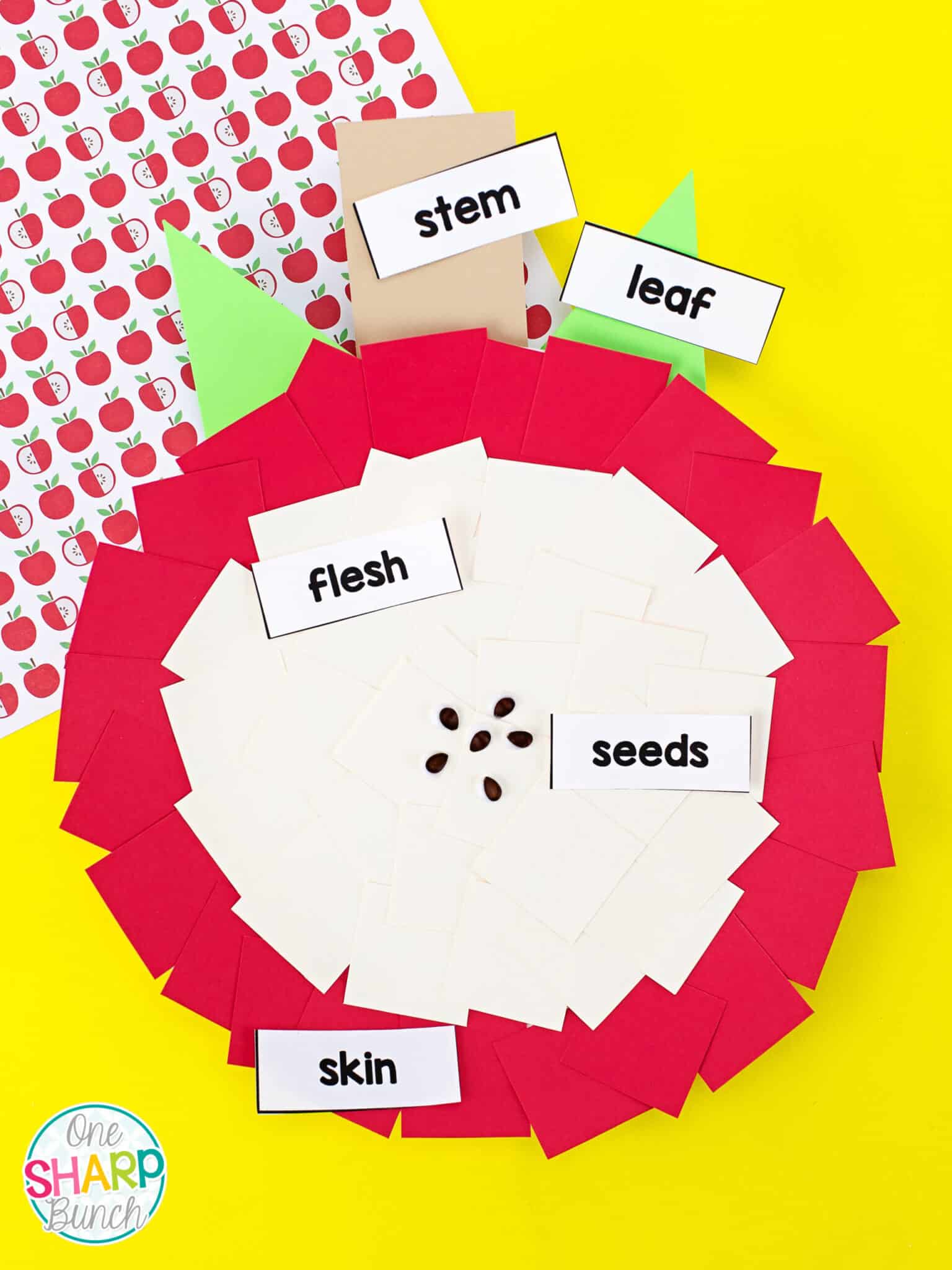 Paper Plate Apple Craft for Labeling - One Sharp Bunch