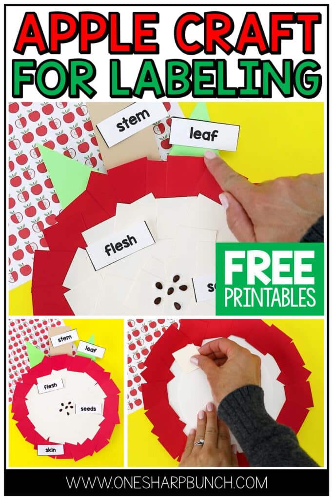 Paper Plate Apple Craft with Free Apple Labeling Printable - One Sharp ...