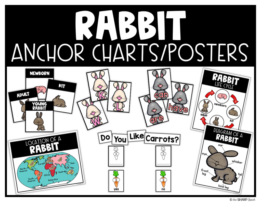 All About Rabbit Activities - Easter Bunny Craft - One Sharp Bunch