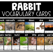 All About Rabbit Activities - Easter Bunny Craft - One Sharp Bunch