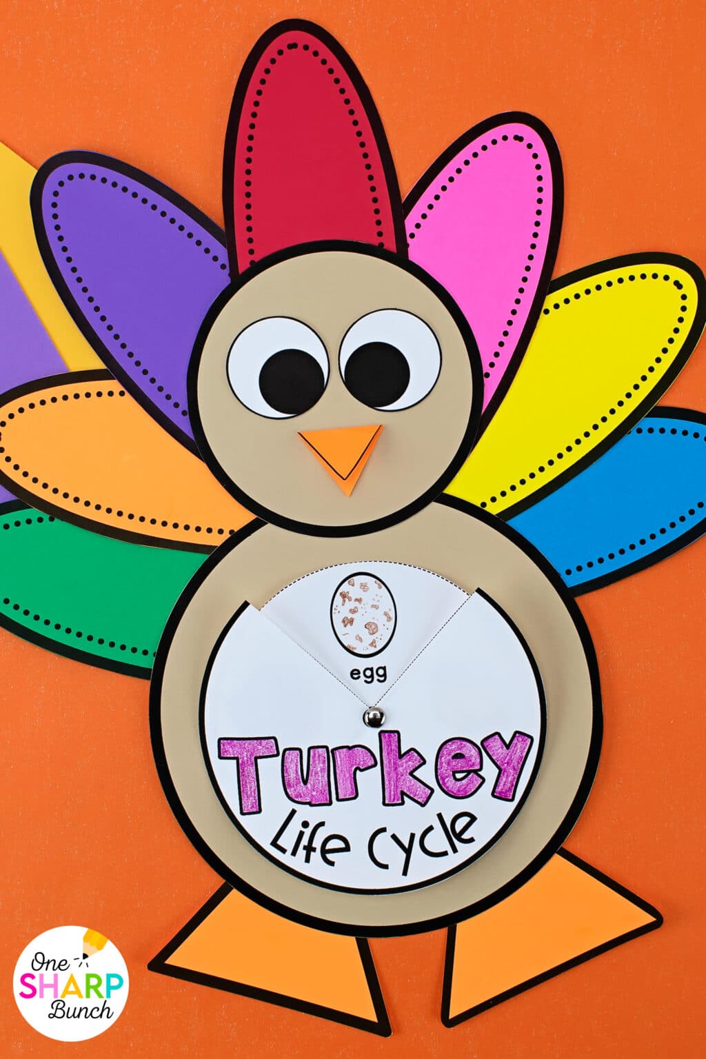 Interactive Turkey Life Cycle Craft for Kids - One Sharp Bunch
