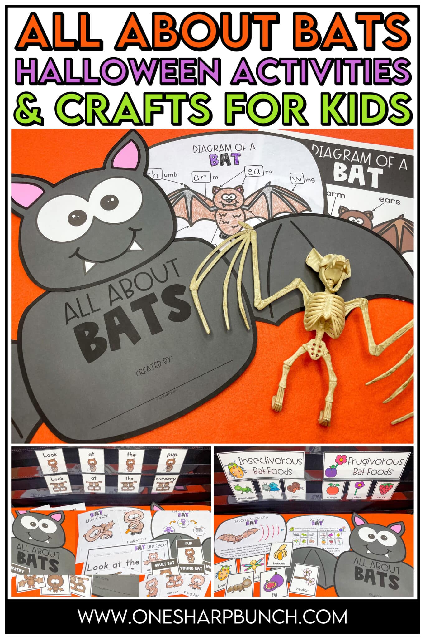 25 Amazing All About Bat Activities and Bat Craft for Kids - The Sharp ...