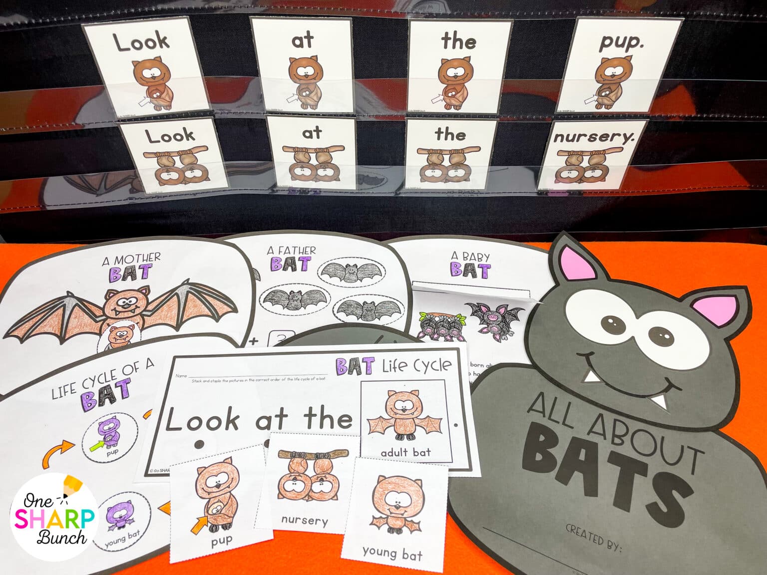 25 Amazing All About Bat Activities and Bat Craft for Kids - One Sharp ...