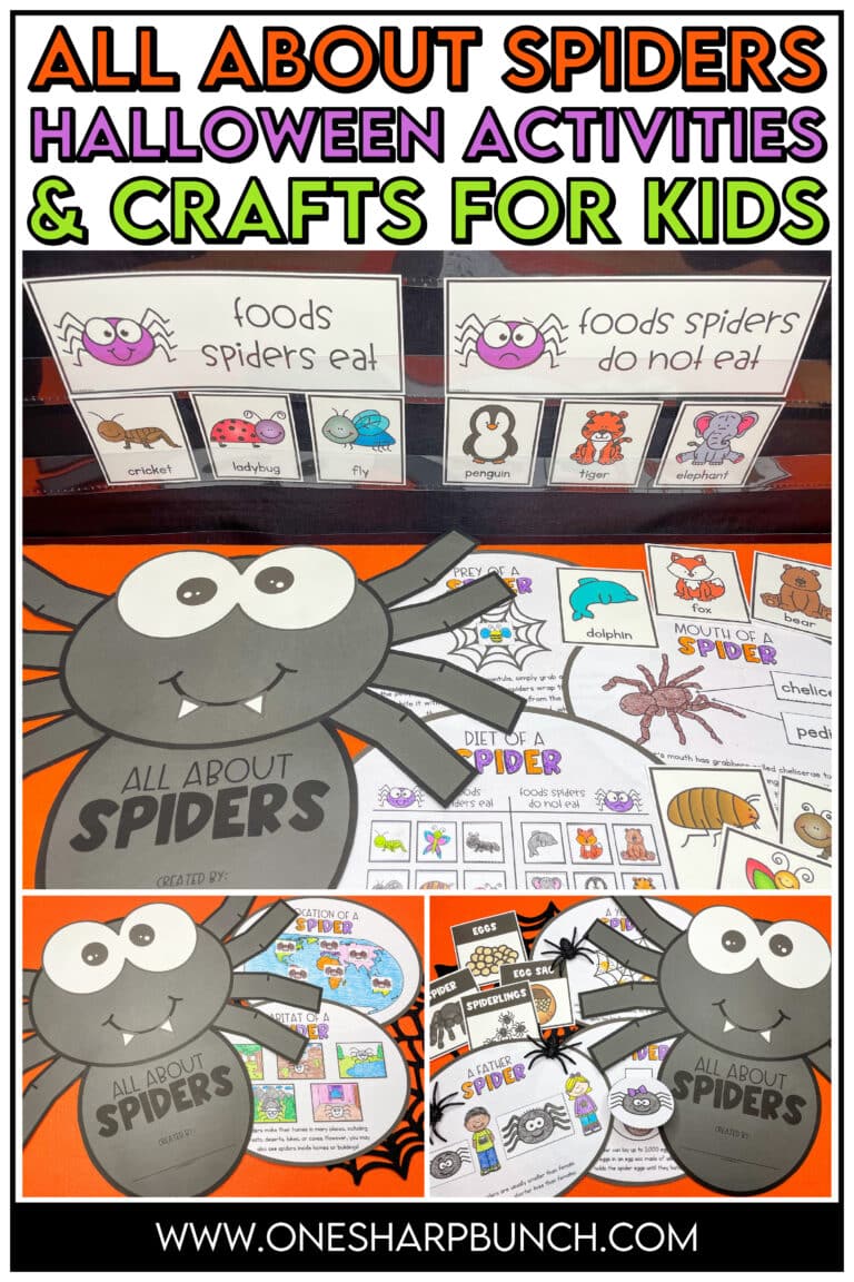 25 Fun All About Spider Activities and Spider Craft for Kids - One ...