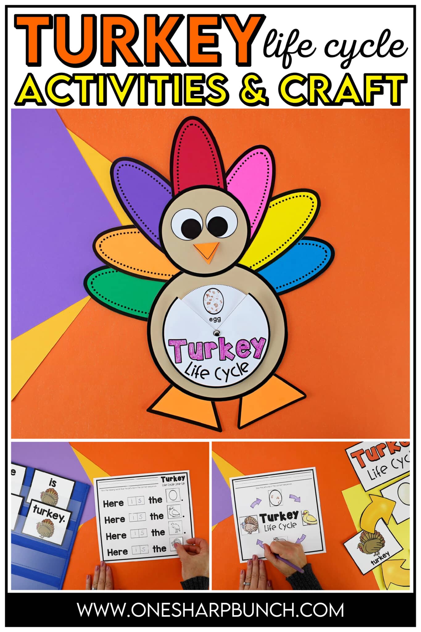 Interactive Turkey Life Cycle Craft for Kids - One Sharp Bunch