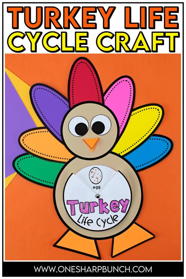 Turkey Life Cycle Craft for Kindergarten and First Grade - One Sharp Bunch