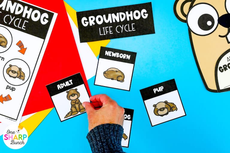 22 All About Groundhog Activities and Adorable Craft for Groundhog Day ...