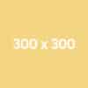 300x300.jpg - One Sharp Bunch